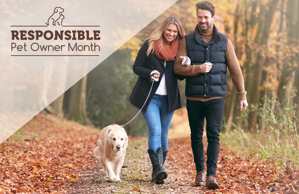 How to be a Responsible Pet Owner - Petstop