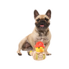 Fuzzyard Plush Dog Toy - Firequacker Duck - Petstop