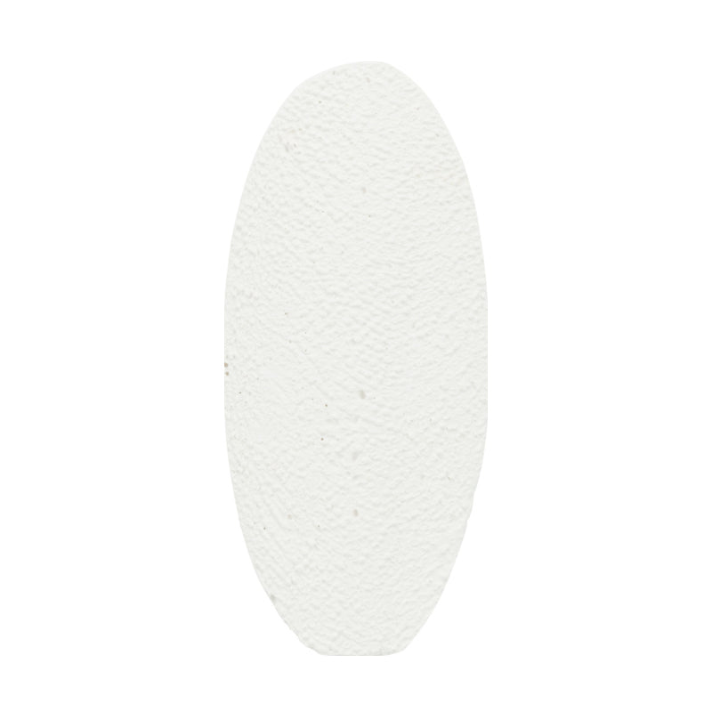 Cuttlefish Calcium Stone - 1pc - Petstop