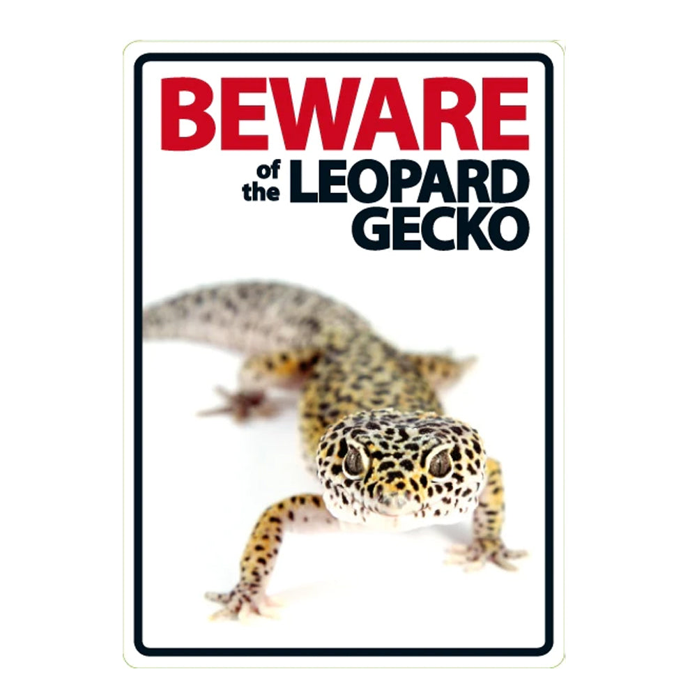 Leopardgekko Sover Tracing The Leopard Gecko From Pet Trade To Lab And