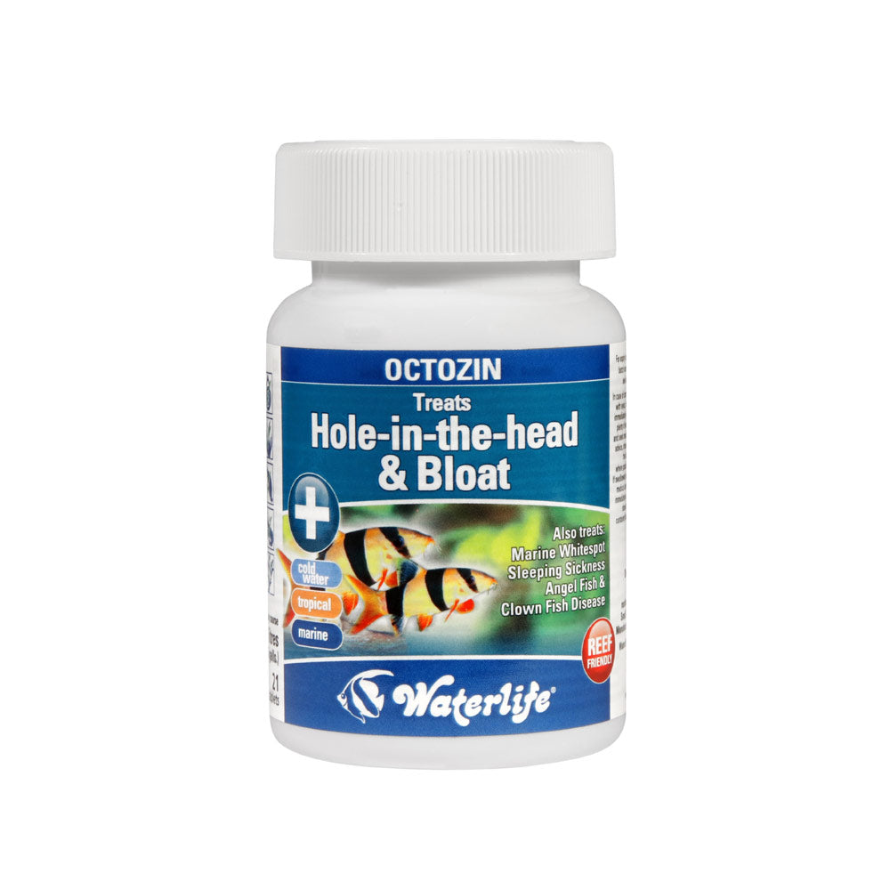 Waterlife - Octozin 80 Tablets - Petstop