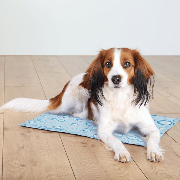 Chilly dog cooling mat store